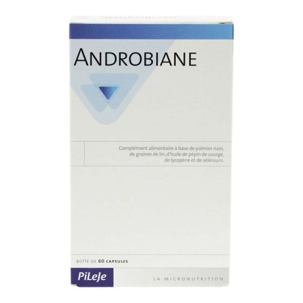 Pileje Androbiane Protect Caps Bt 60 - Pharmarun